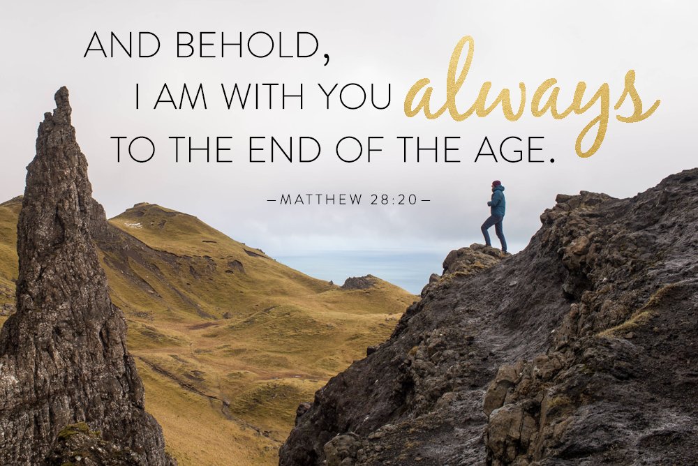 You Do Not Go Alone – Frangipani Kingdom